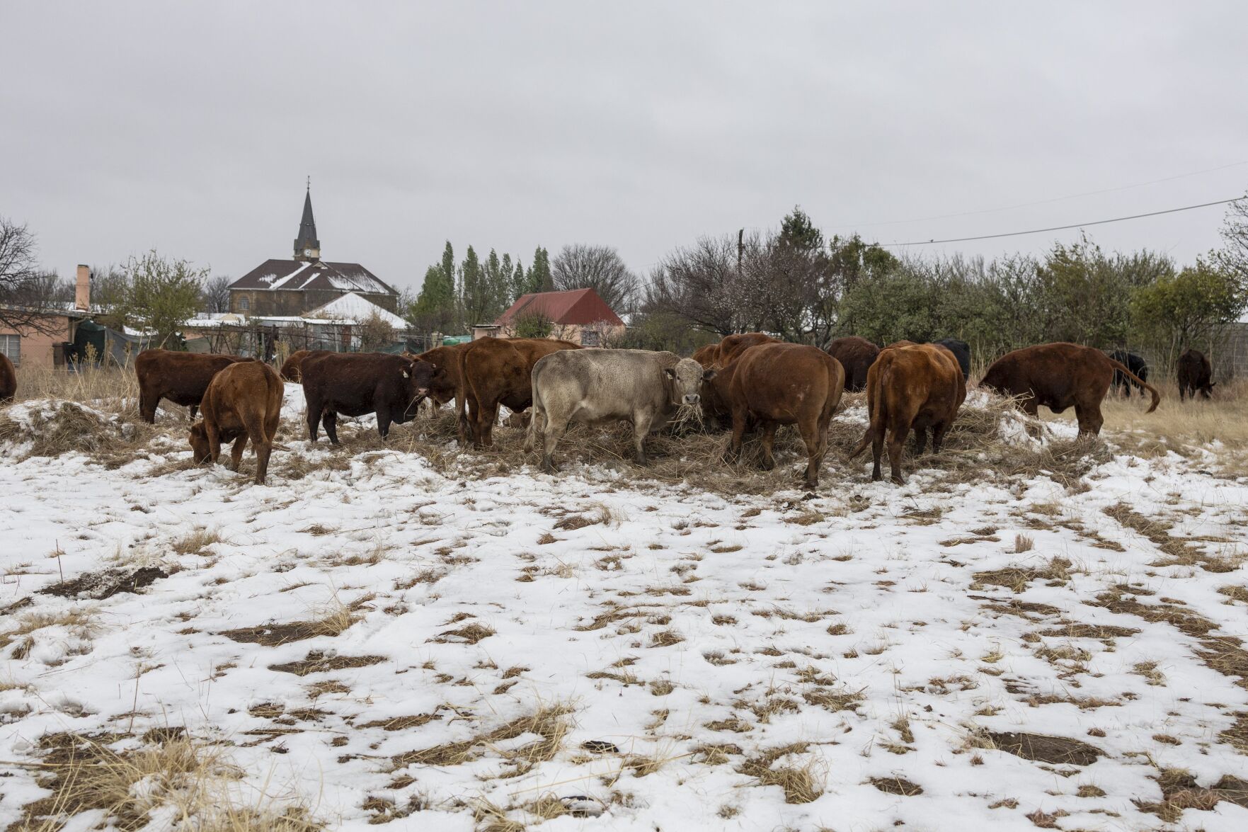 In photos: South Africa hit with rare heavy snowfall
