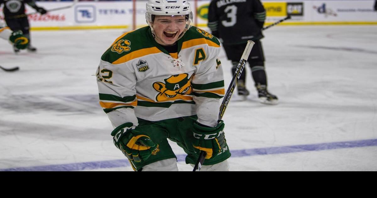 Latest Calgary Flames signing Luke Philp adds to Alberta Golden Bears ...