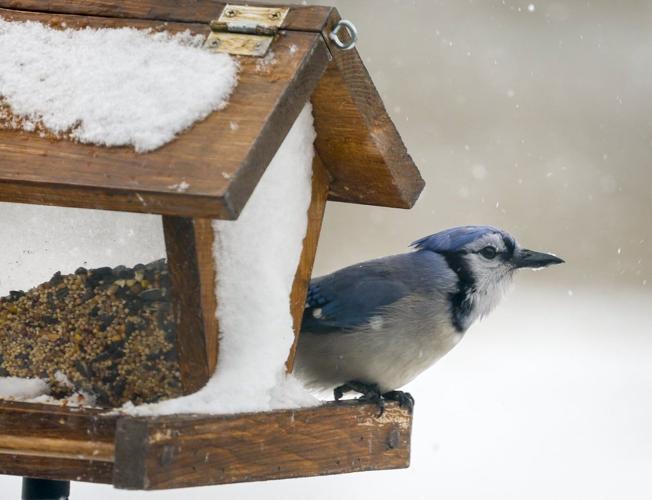 Early snow in Manitoba makes for messy roads, power outages