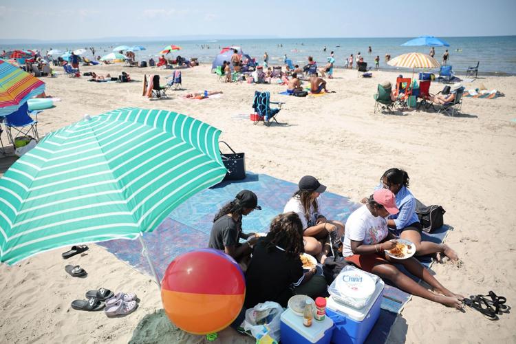 What’s behind the rumours about pooping at Wasaga Beach