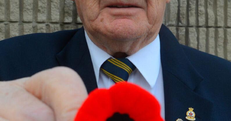 Remembrance Day: Korean War veteran honours fallen through poppy campaign