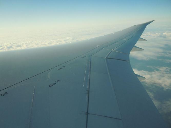 b787 wing view