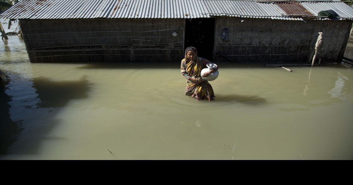 India Monsoon Flooding Kills 96 People And 17 Rare Rhinos