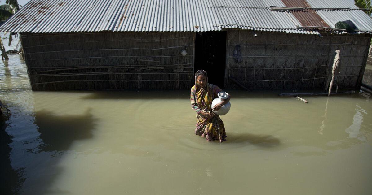 India Monsoon Flooding Kills 96 People And 17 Rare Rhinos