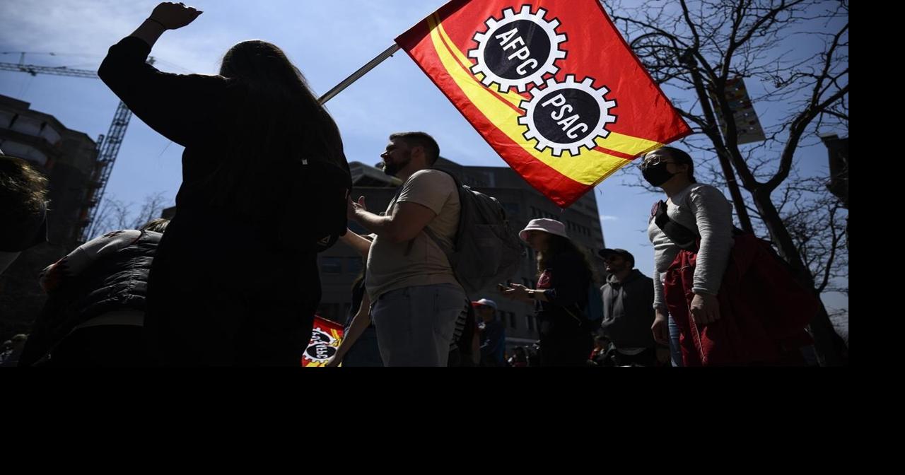 NB Power cuts ties with private instructor for driving truck into ...