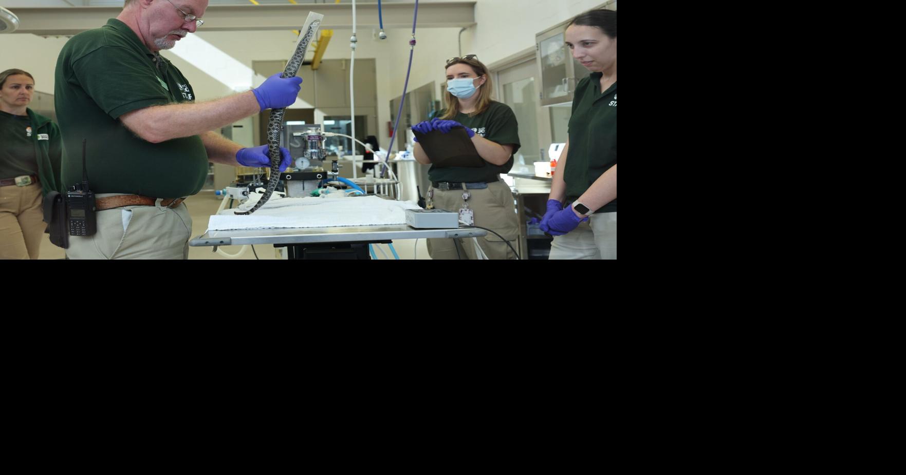 Can Toronto Zoo become the Noah’s Ark of Scarborough?