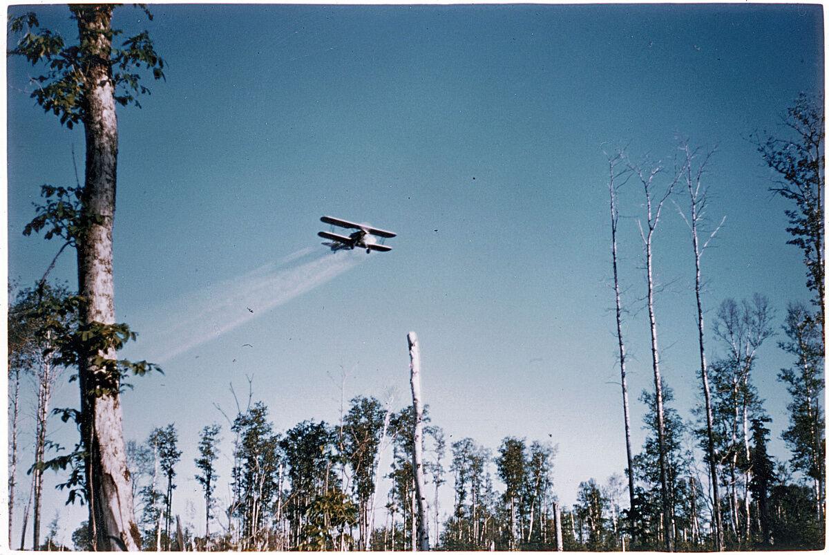 Agent Orange chemical exposure left Ontario workers prone to disease: study