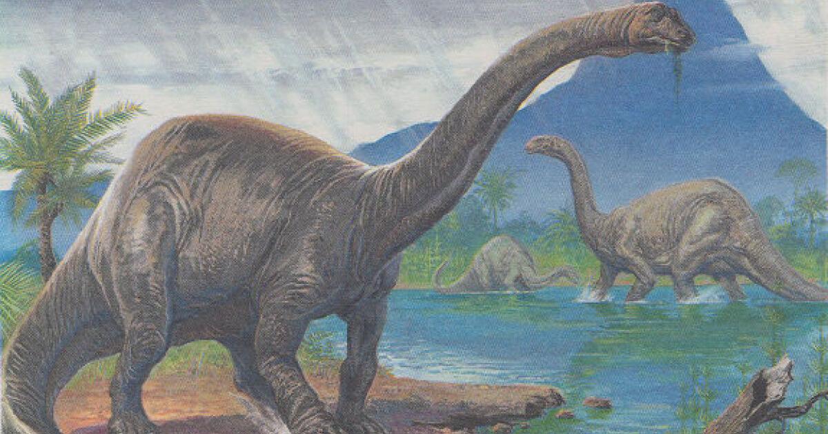 The Brontosaurus is back (if we want it)