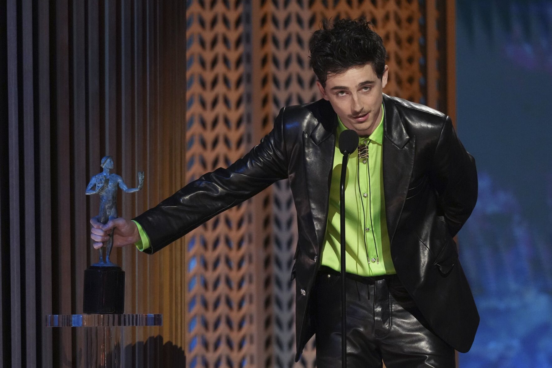 List of winners at the 31st Screen Actors Guild Awards