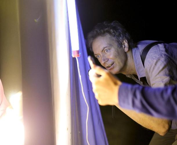 Meet the High Park Mothia — a group of ‘insect obsessives’ who make ...