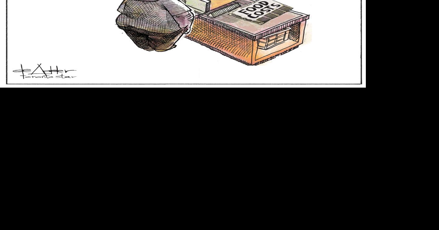 The Year in Cartoons: De Adder