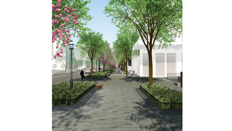 Draper St.’s Dizzy the Cat gets a promenade dedicated to him