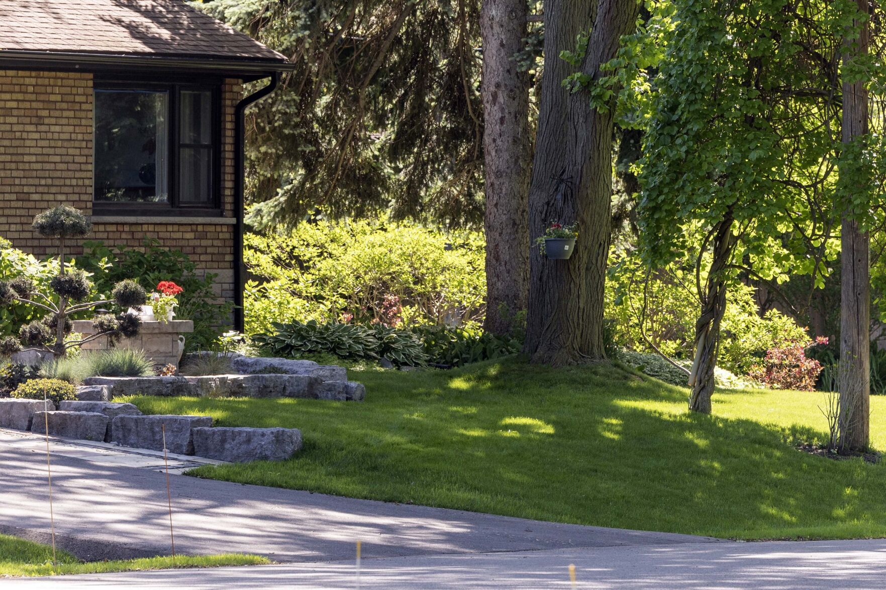 A fight against Mississauga’s lawn laws could mean much more