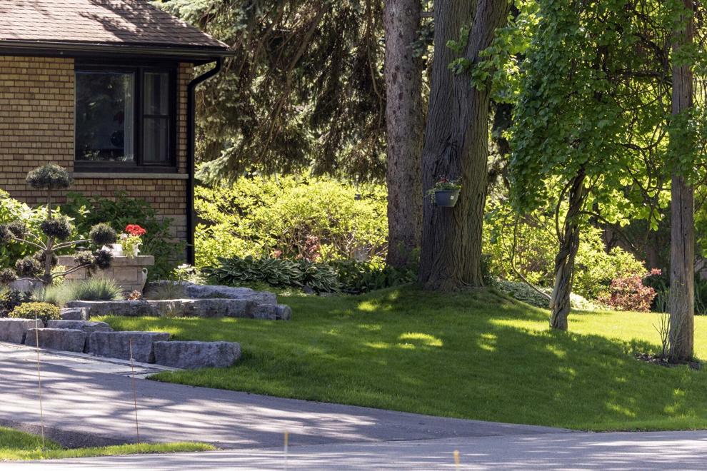 A fight against Mississauga’s lawn laws could mean much more