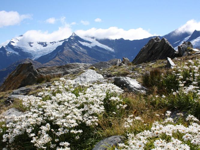 Whare Kea lodge a jewel in New Zealand’s Southern Alps