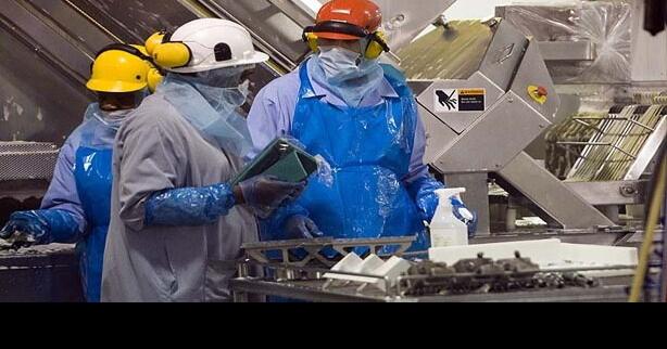 Listeria probe wraps up after months of secrecy