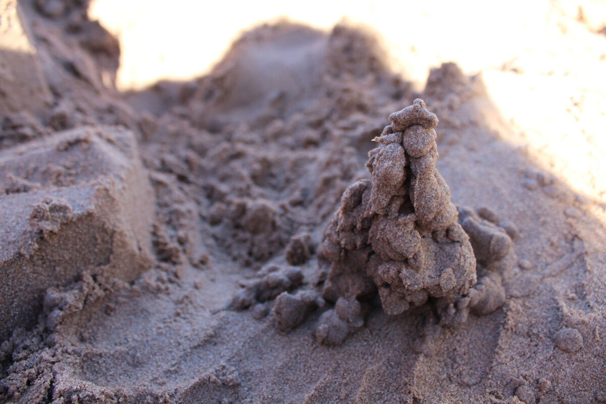 Have a P.E.I. artist teach you how to build a proper sandcastle