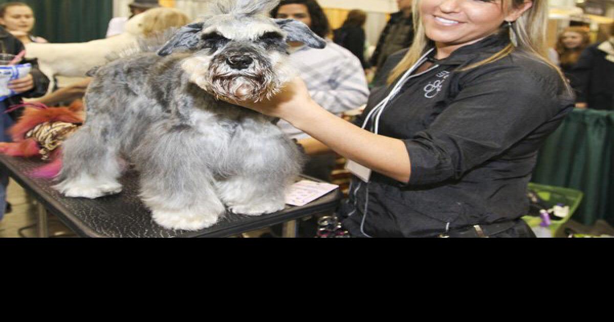 Animals used for entertainment should also enjoy the show