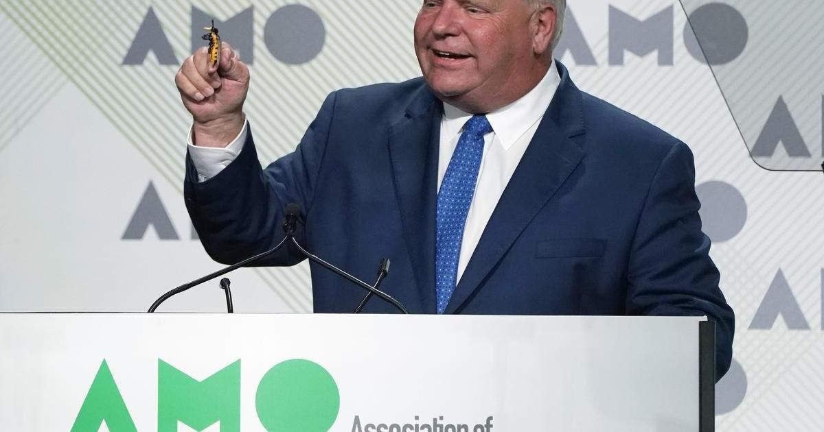 Strong mayor proposal risks making mayors a puppet