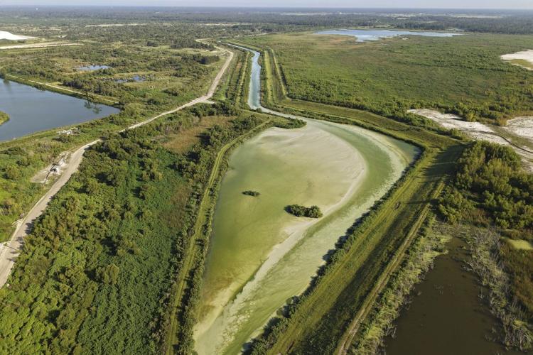 Florida's once-pristine springs threatened by pollution, development ...