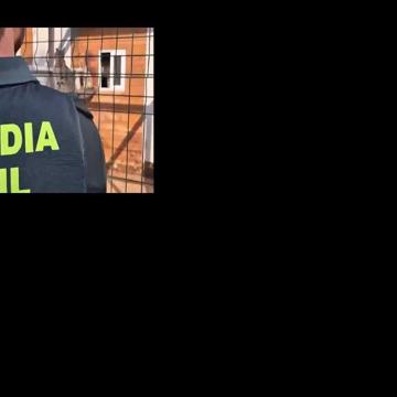 Spanish police arrest two people linked to cat smuggling ring based in ...