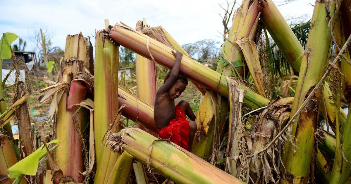 Canada should do more to help cyclone-struck Vanuatu
