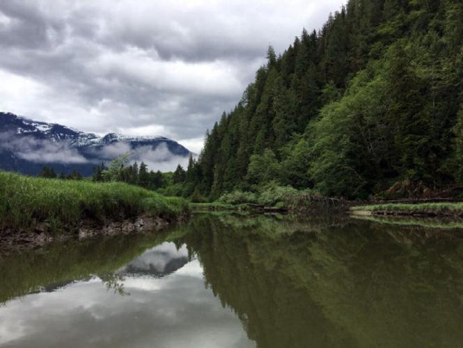 Sea wolf a highlight of B.C. travel experience that combines nature and ...