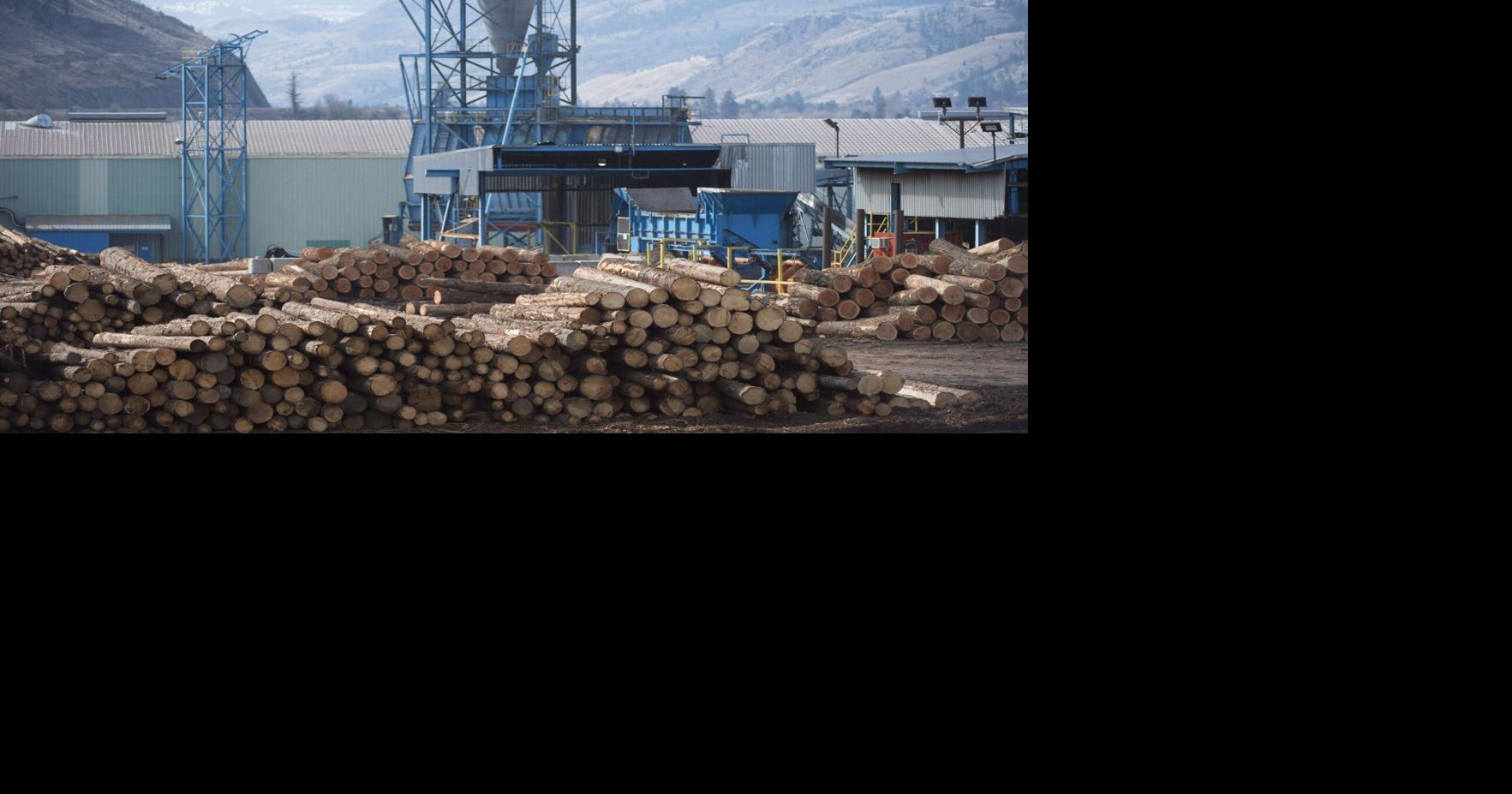 MPs urge Ottawa to get serious tracking logging emissions