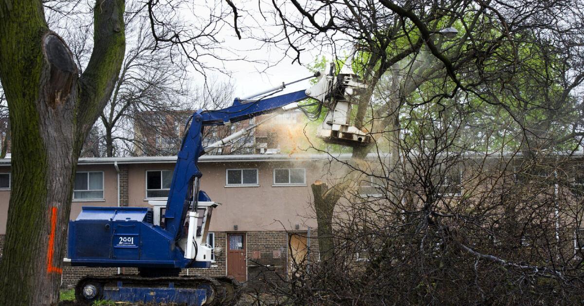 Porter: Trees are victims of Regent Park revitalization