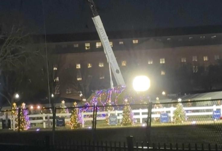 Toppled White House Christmas tree is secured upright, and lighting ...