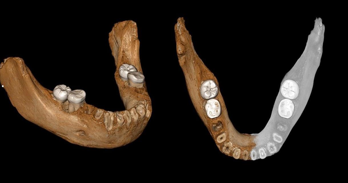 Chinese fossil sheds light on mysterious Neanderthal kin