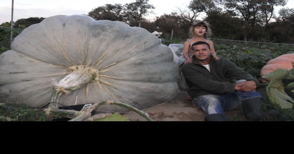 Ontario man sets world record for biggest squash