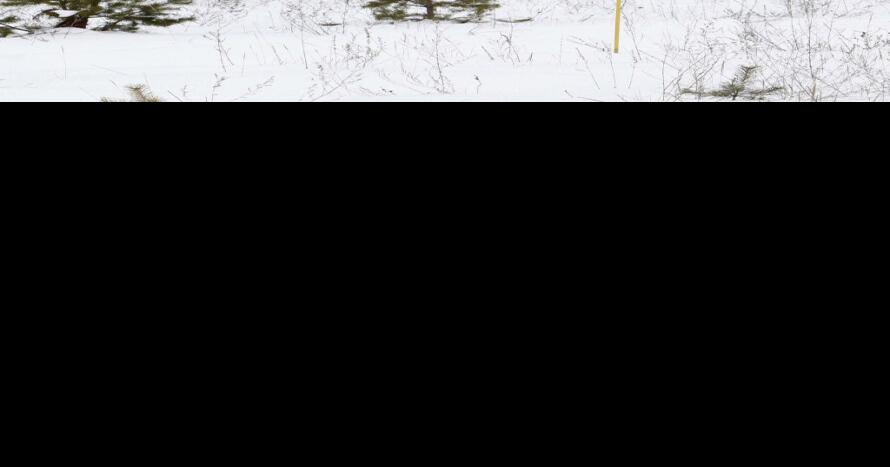 A Chernobyl scientist recalls her years spent at the plant