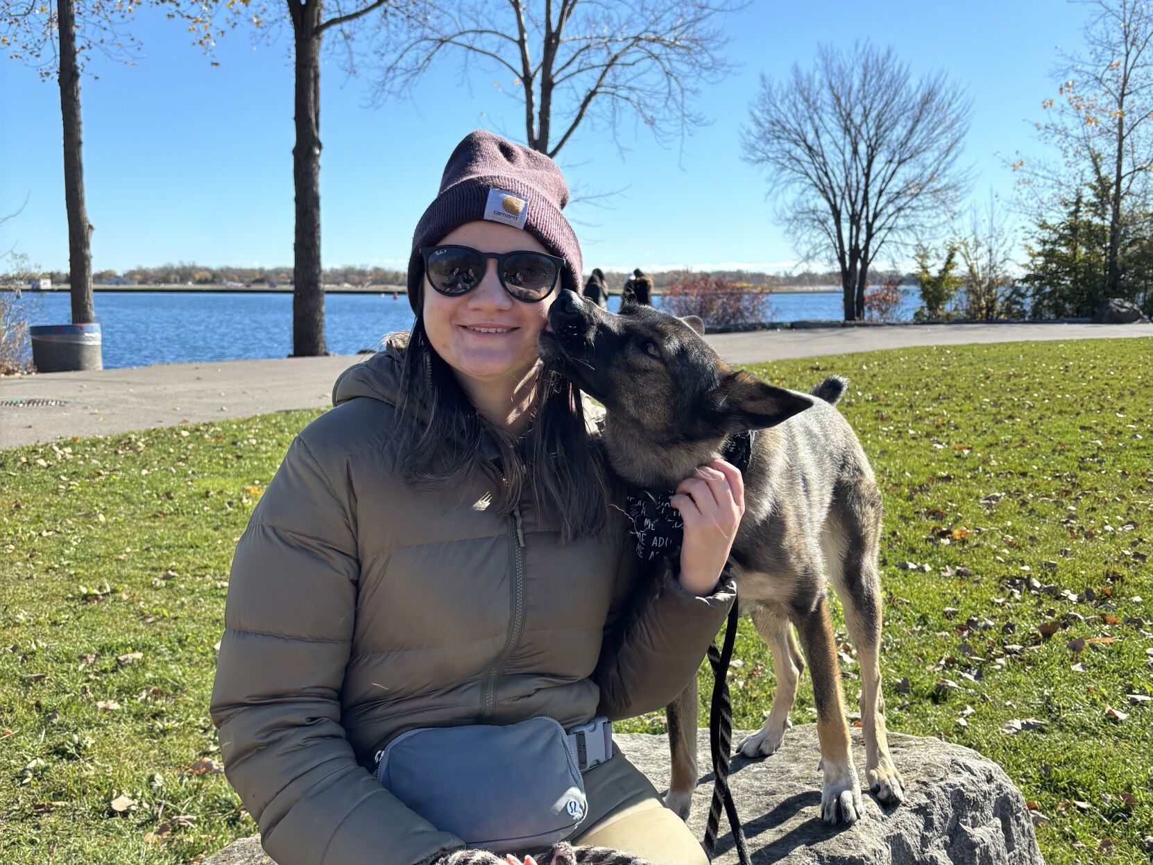 Fostering rescue dogs changed my life and taught me patience