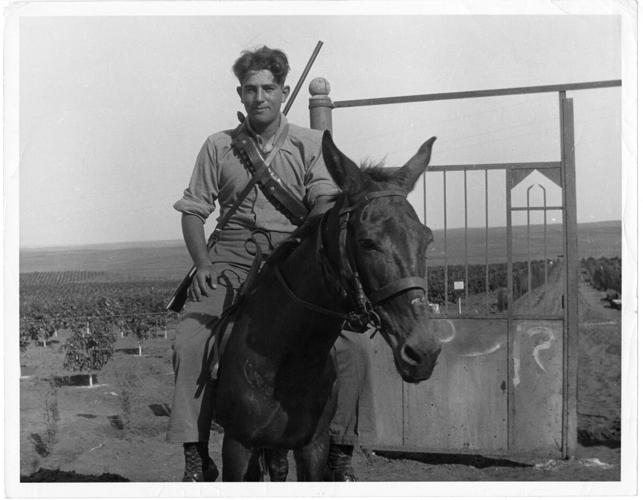 The life of Toronto’s Benjamin Dunkelman, decorated war veteran and one ...