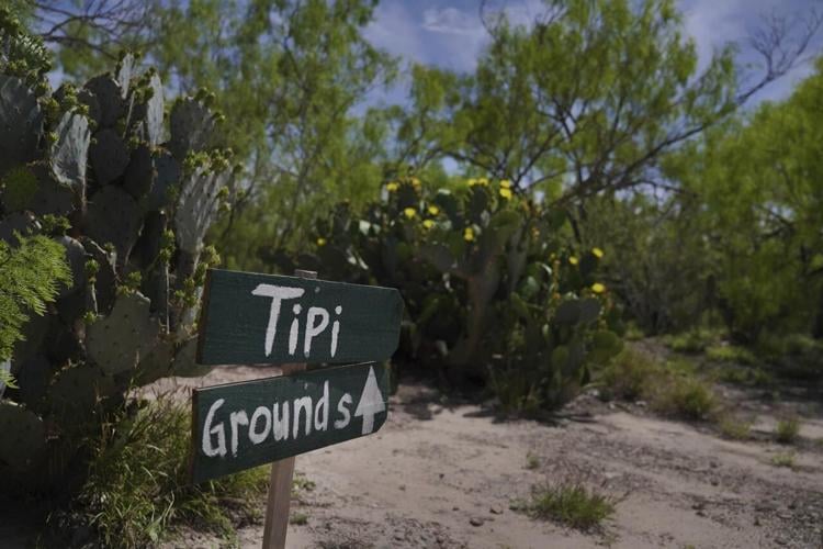 Peyote sacred to Native Americans threatened by psychedelic renaissance ...