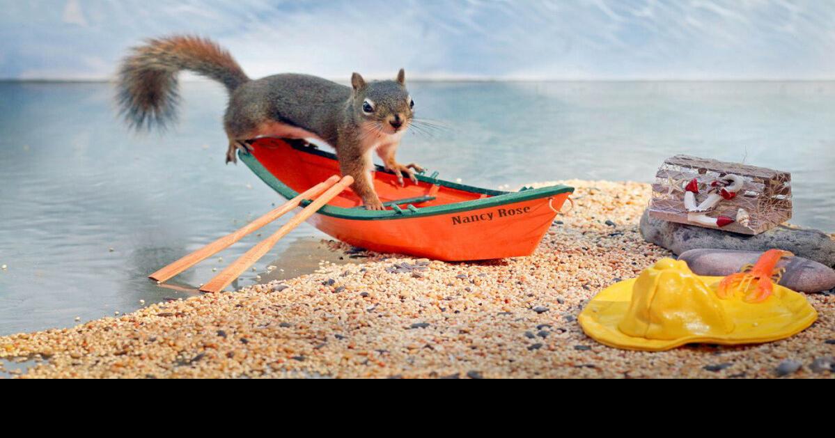 Photos of squirrels with miniature objects attract legion of followers
