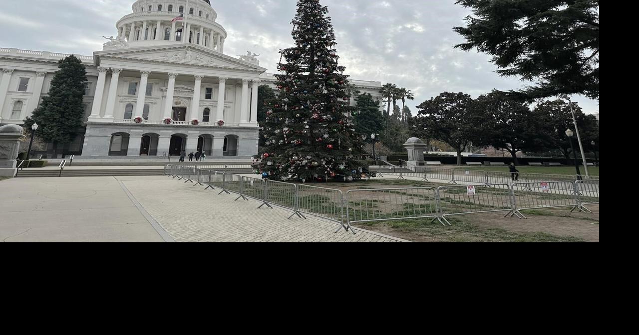 Gaza protests prompt California governor to hold virtual Christmas tree ...