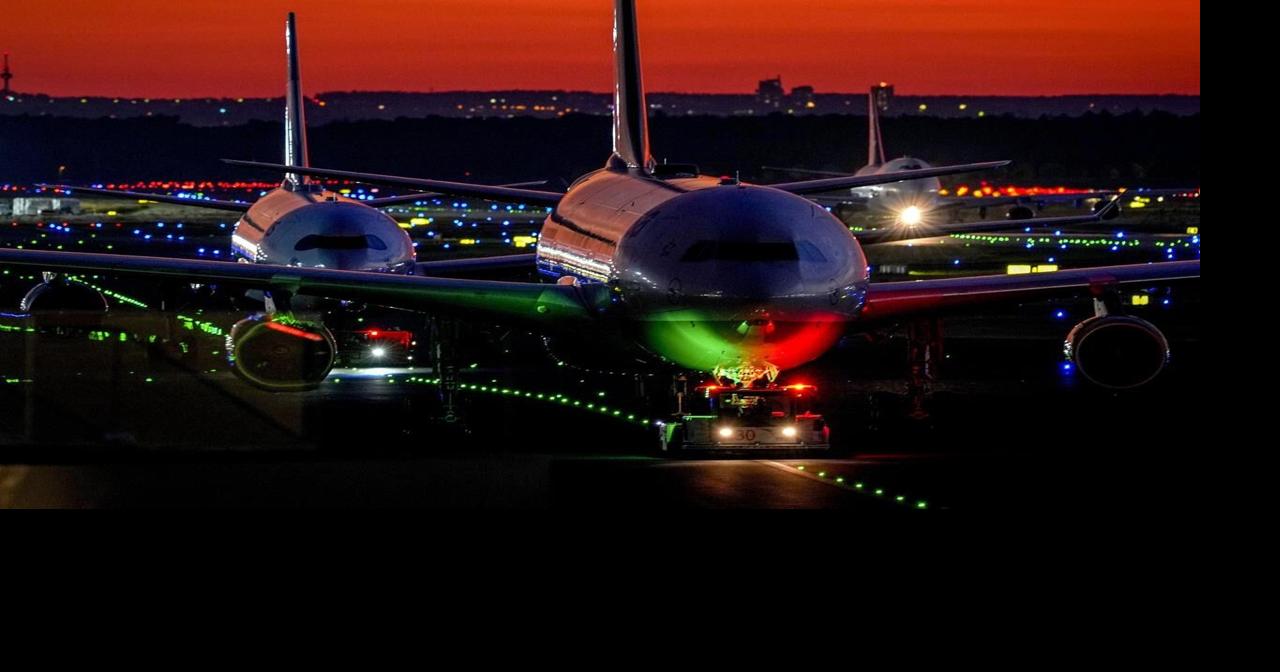 Part of Frankfurt Airport's power supply cut overnight by a dormouse, but effect on flights limited