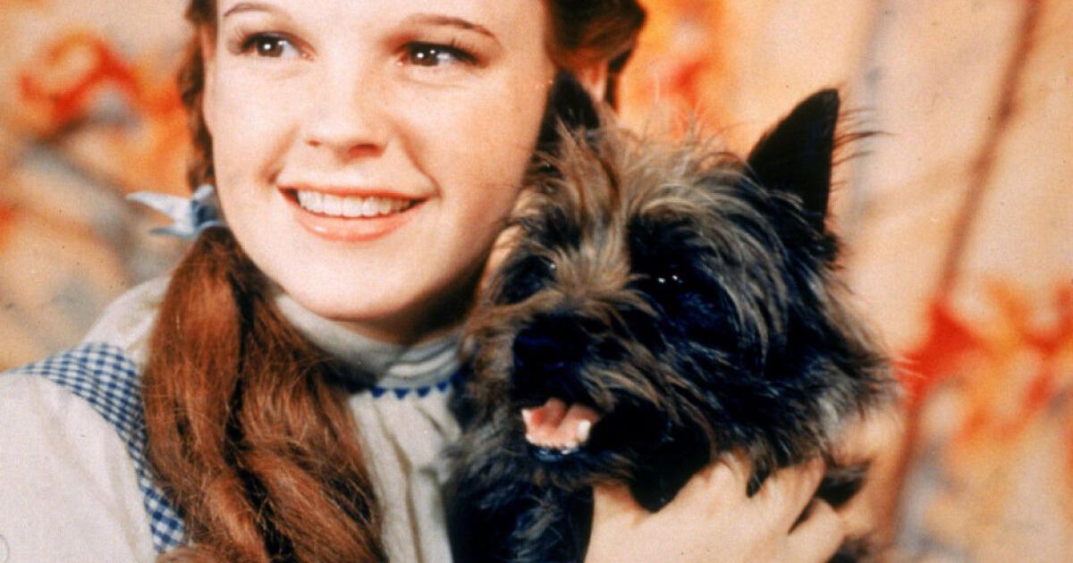 25 things you didn’t know about the Wizard of Oz: Peter Howell