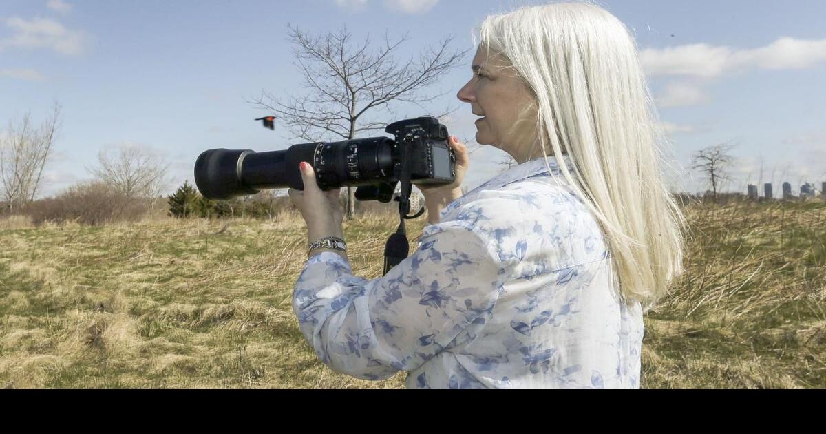 Birding helped when Elizabeth Marwick-Stratton’s husband was dying of ...