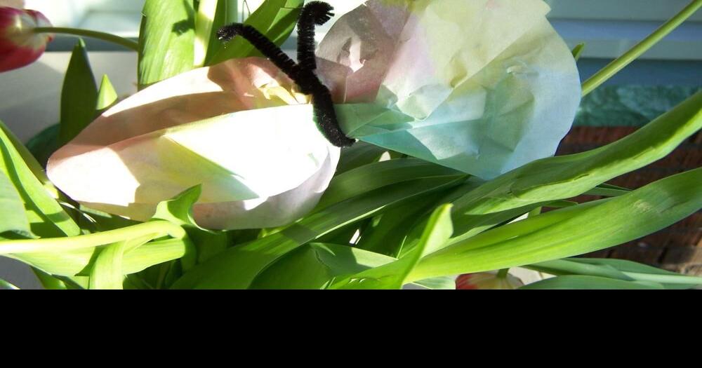 March break craft: Coffee-filter butterfly