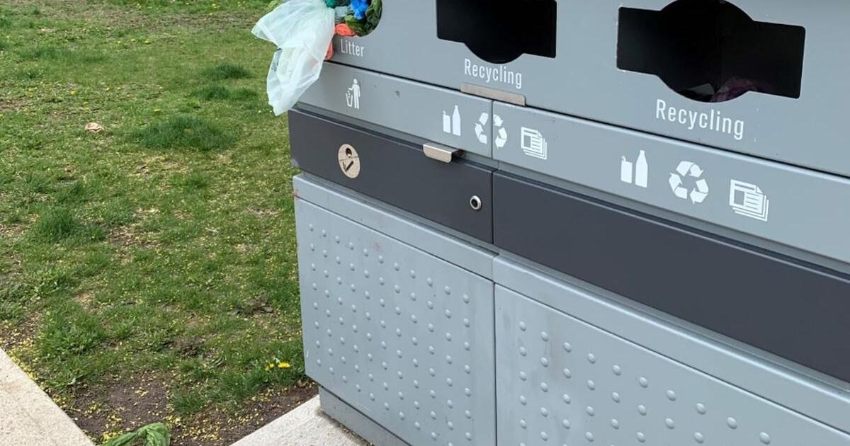 ‘What is wrong with these people?’: All dog owners seen as culprits ...