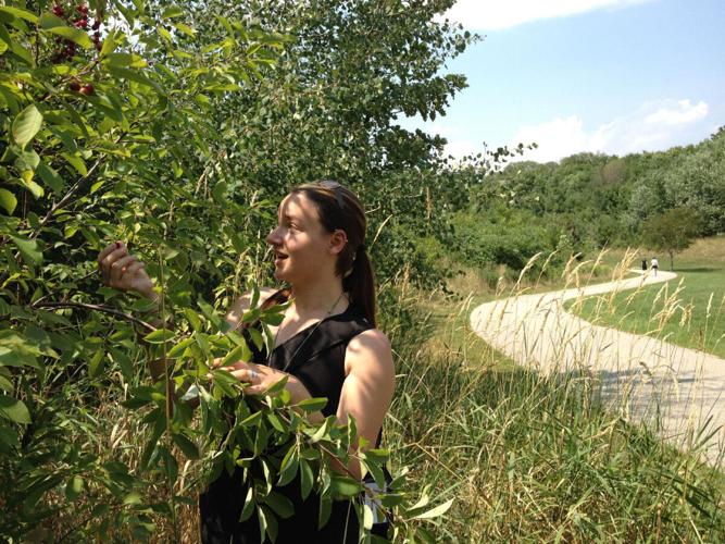 Edible tree tour: Community orchards are providing food for residents ...