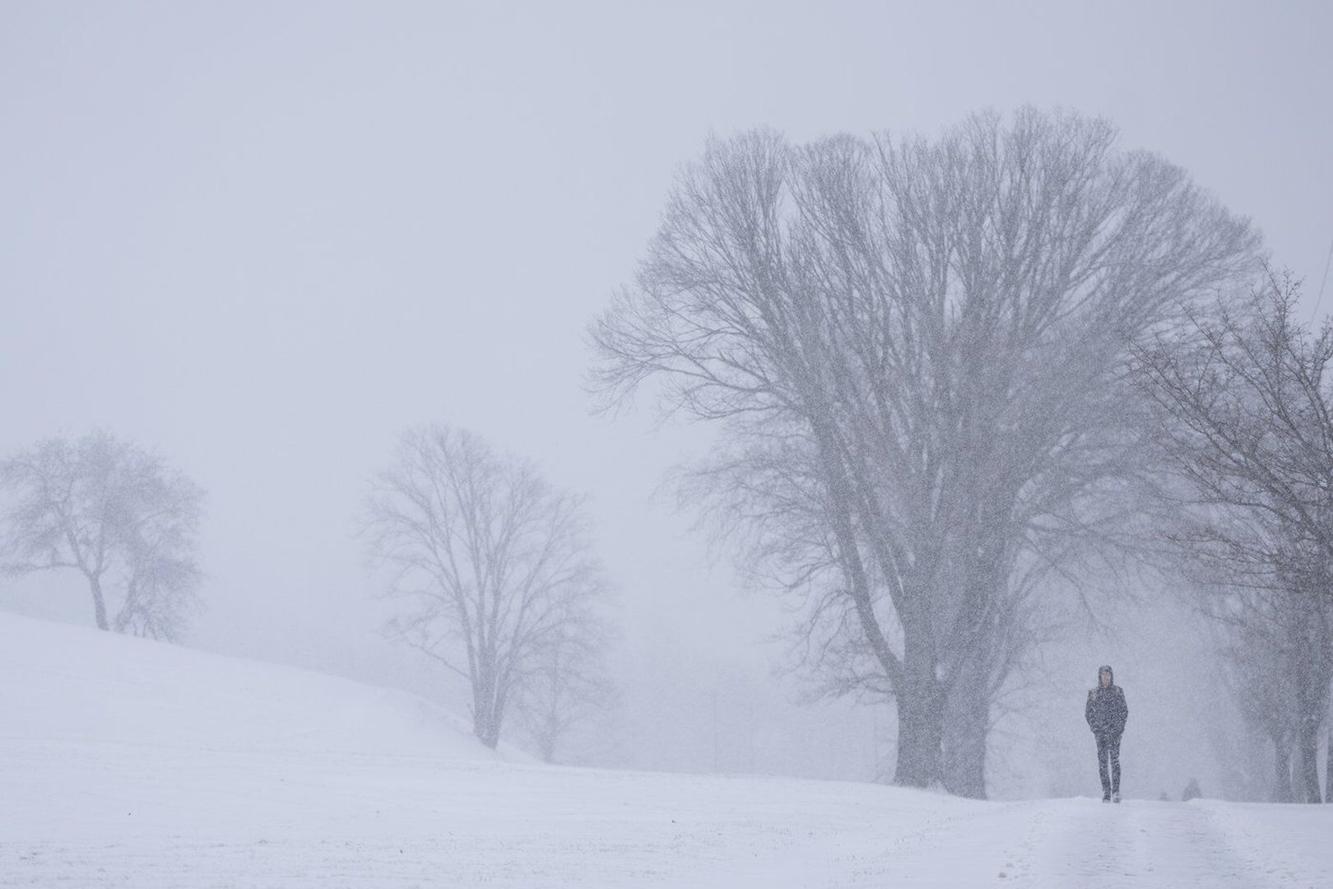 Winter storm causes outages in Nova Scotia and cancellations across the ...