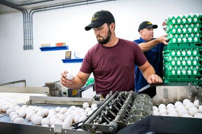 Canadian egg farmers lead the way in caring for our planet