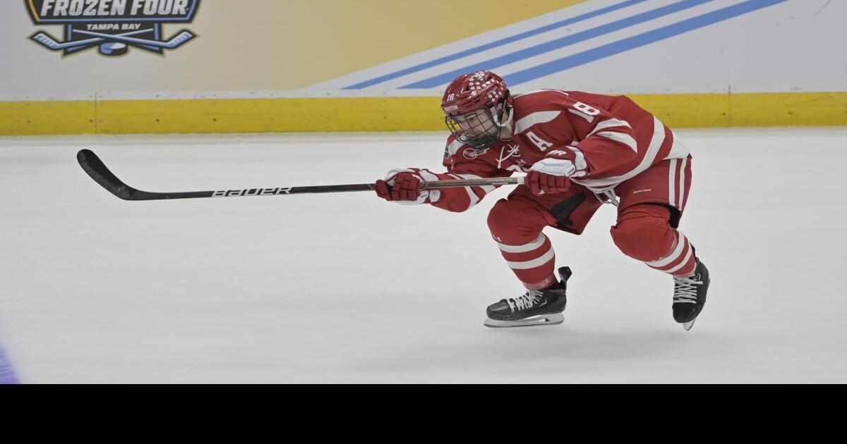 Maple Leafs’ Jay O’Brien could be diamond in the rough