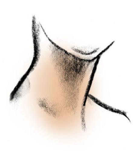 Neck: Fascinating facts about body parts