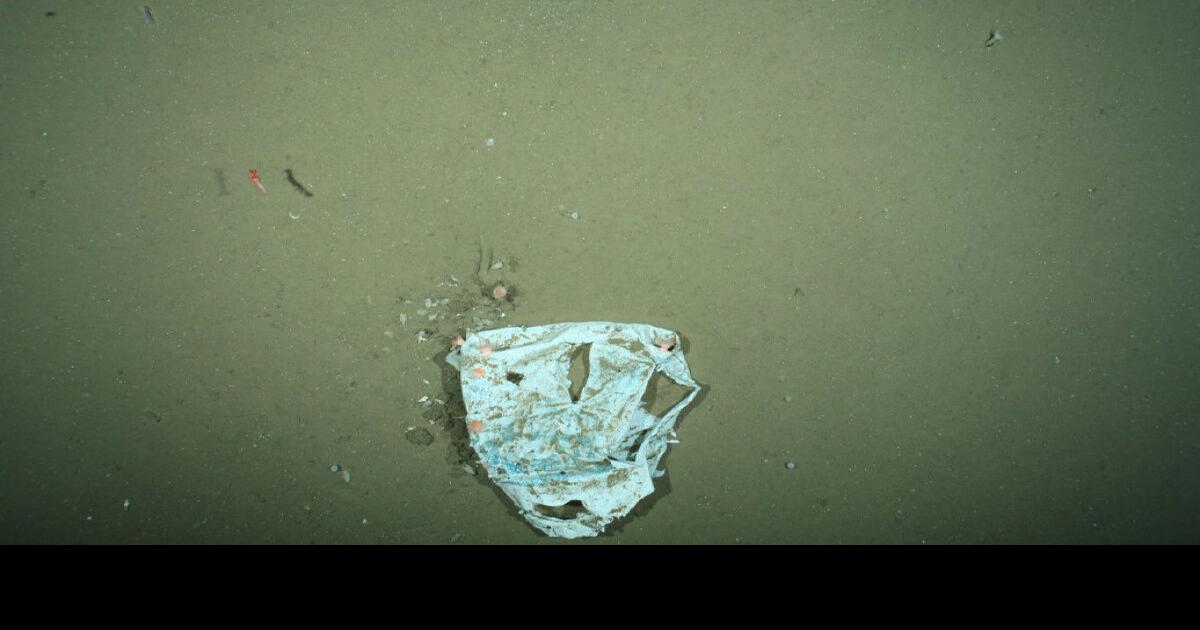 Plastic litter on Arctic Ocean floor doubled in 10 years: Researcher