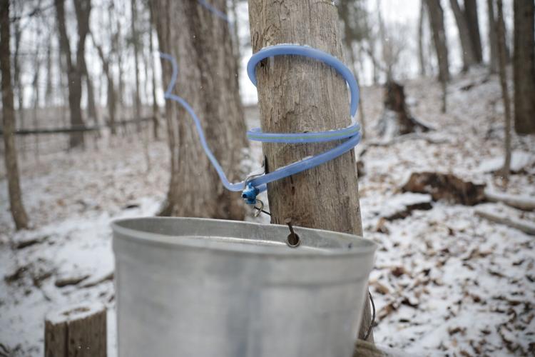 Canada has a national maple syrup reserve. It’s almost empty